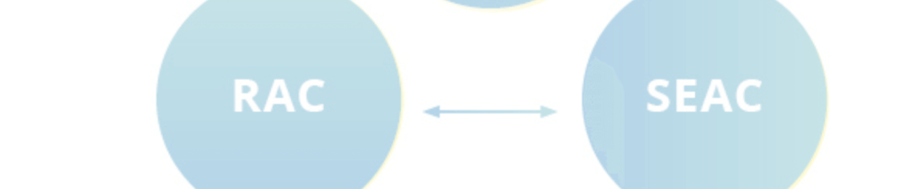 El RAC y el SEAC, Comités de la ECHA para el REACH y CLP - Tandem HSE